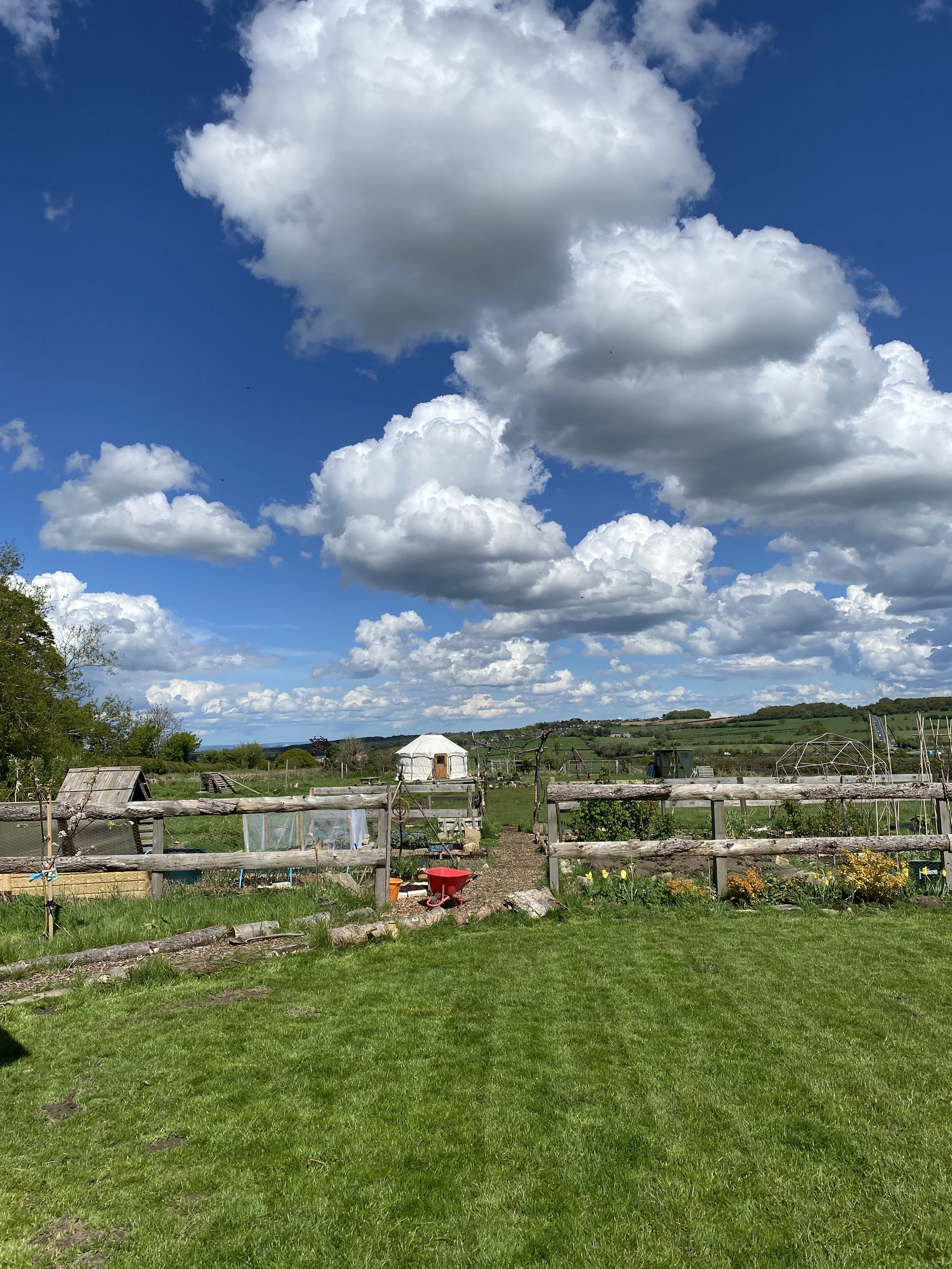 The Future of Kith — Kith Homestead