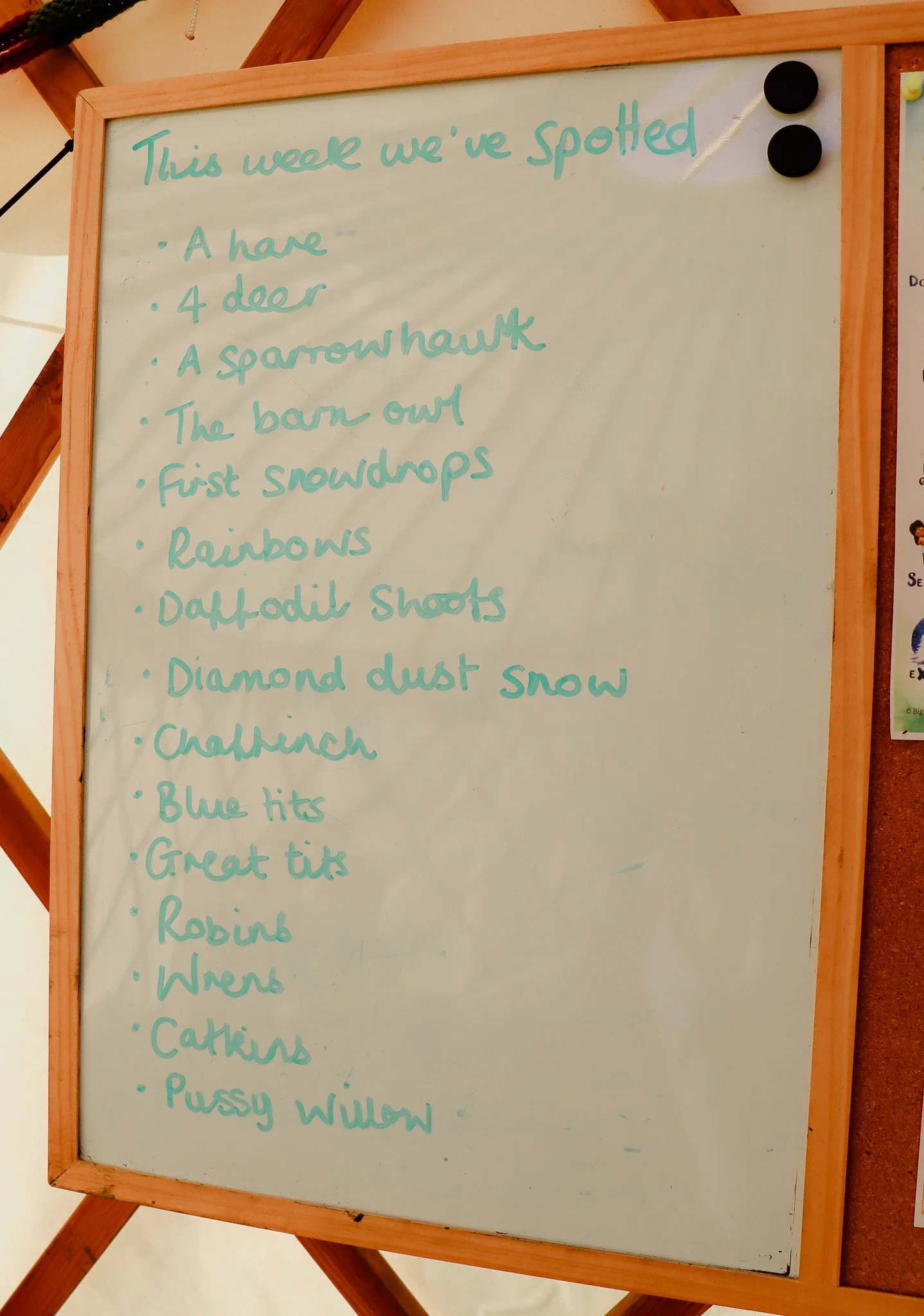 Joy-List — Kith Homestead