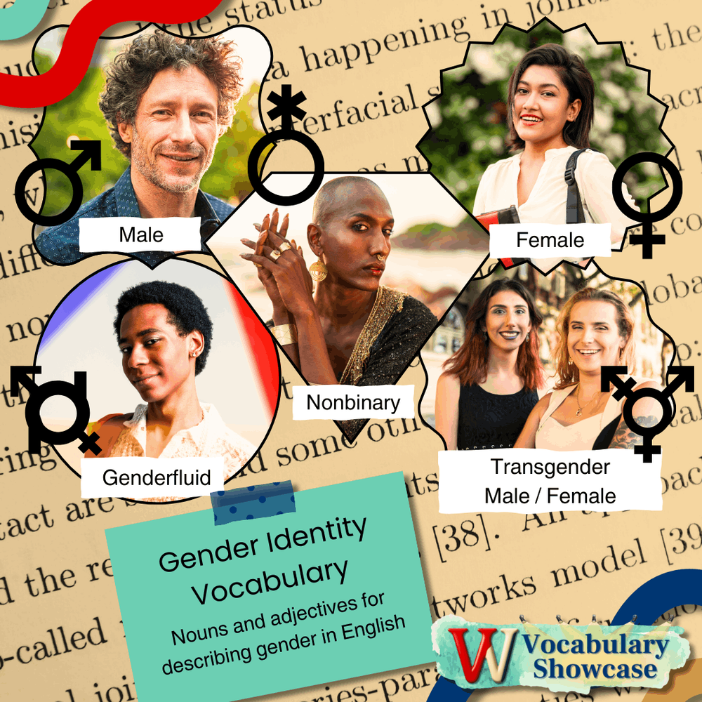 Gender Identity Vocabulary |Vocabulary Showcase| — Wright English