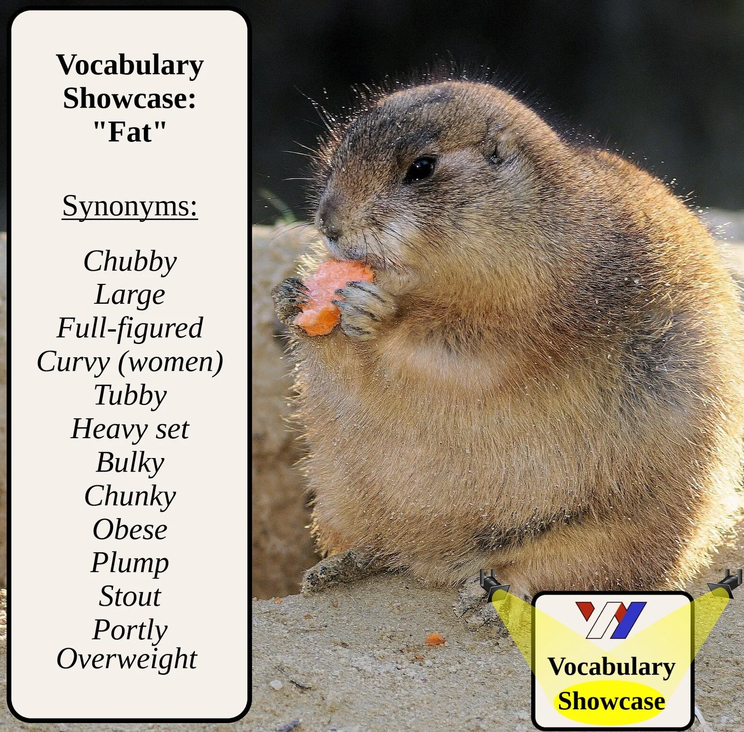Synonyms for "fat" |Vocabularly Showcase| — Wright English