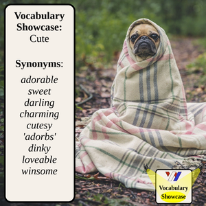 Synonyms for cute |Vocabularly Showcase| — Wright English