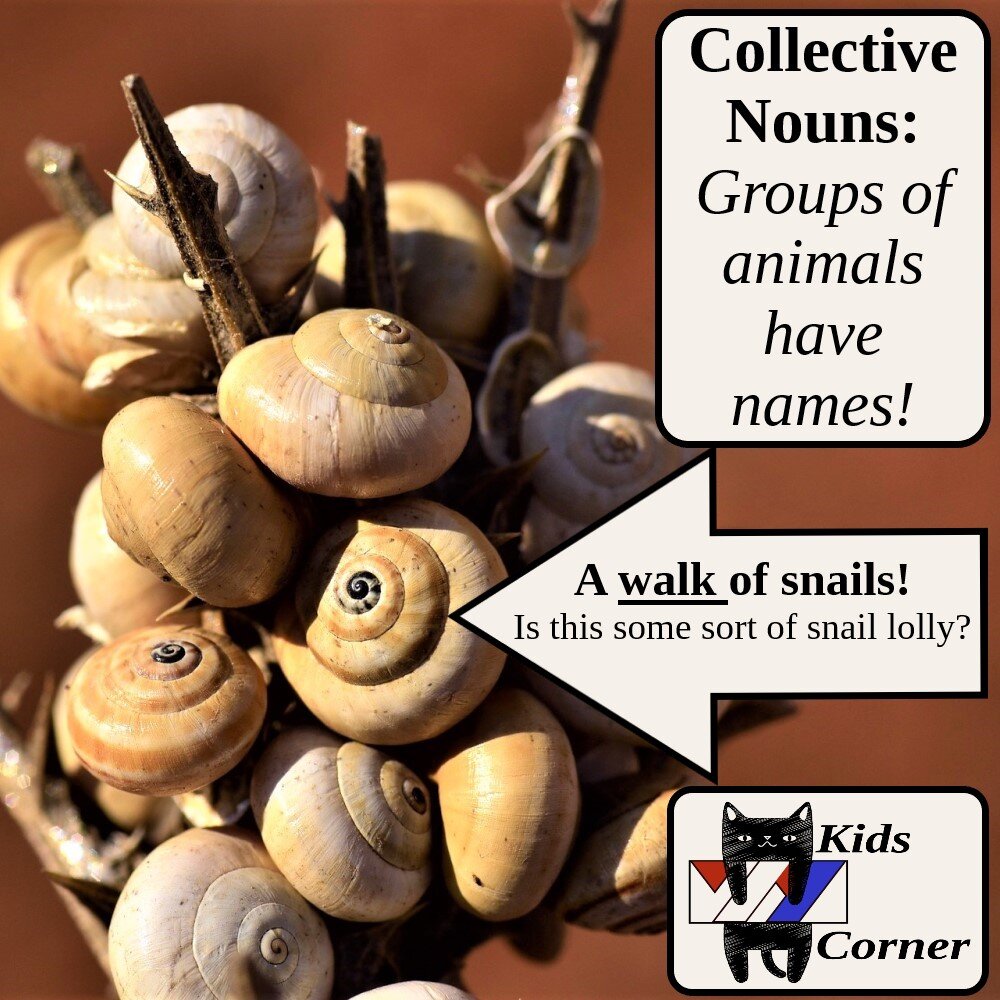 Collective nouns are funny |Kids Corner| — Wright English