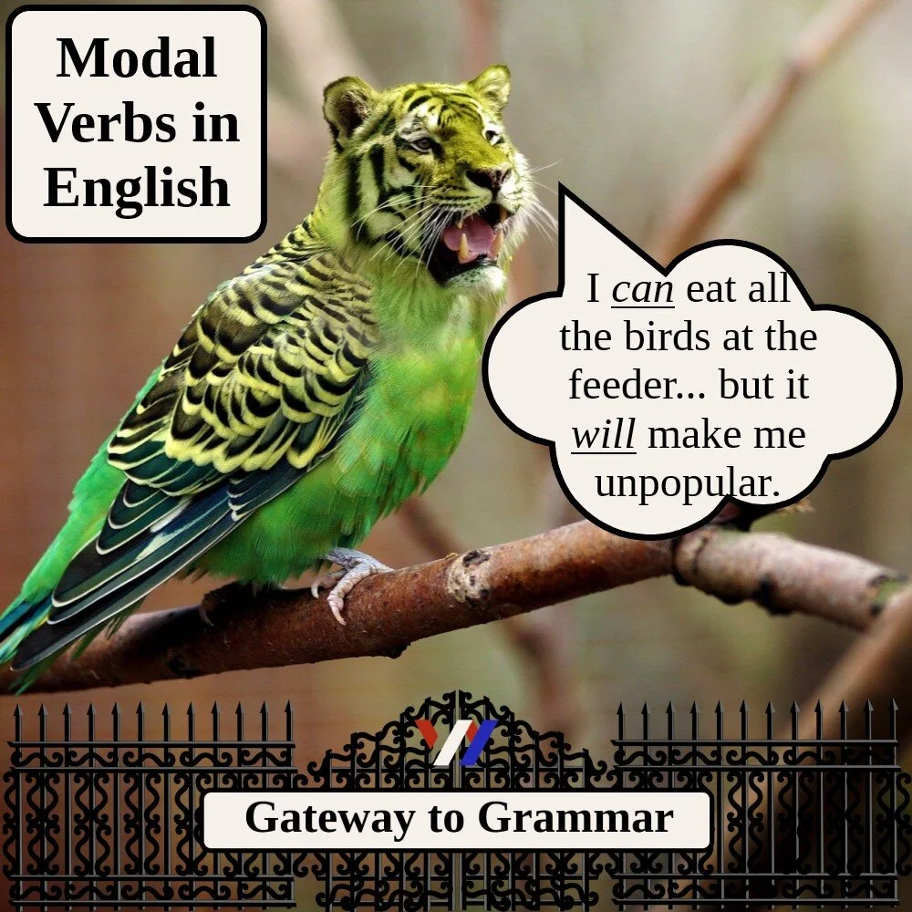 Using Modal Verbs in English |Gateway to Grammar| — Wright English