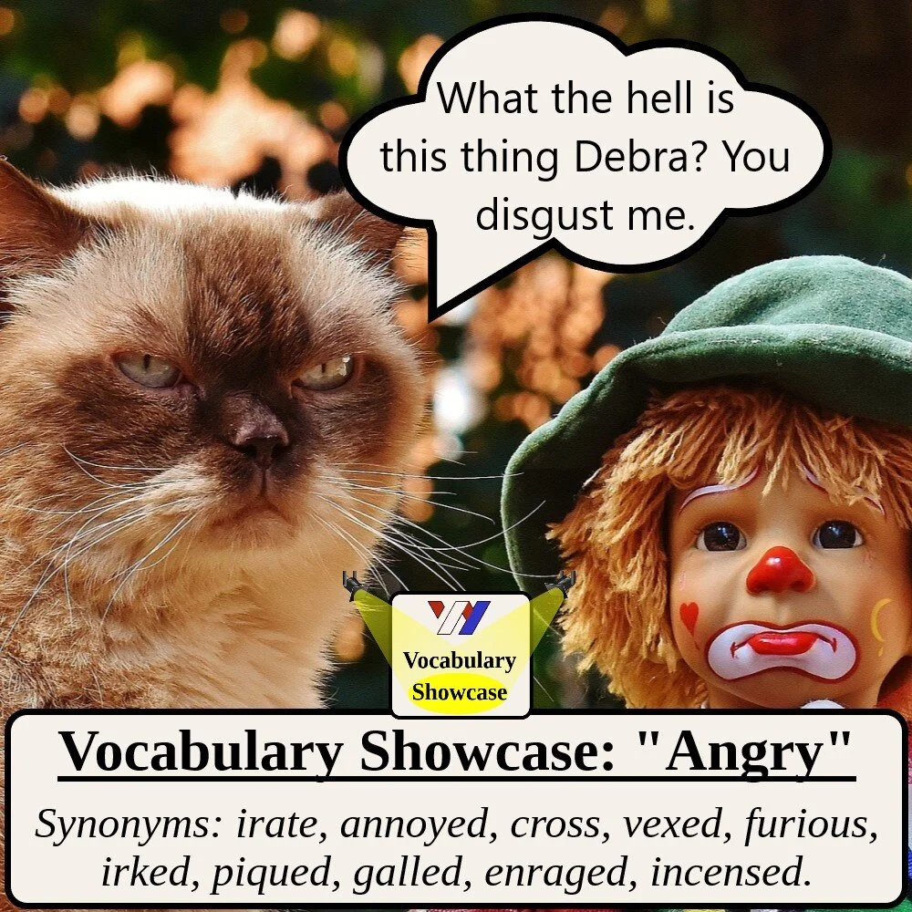 Synonyms for "angry" |Vocabulary Showcase| — Wright English