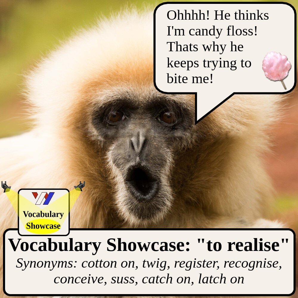 Synonyms for "realise" |Vocabulary Showcase| — Wright English