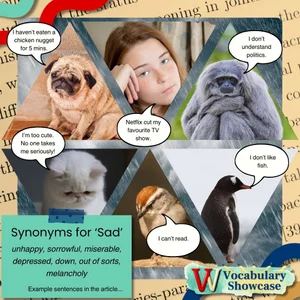 Synonyms for ‘Sad’ |Vocabulary Showcase| — Wright English