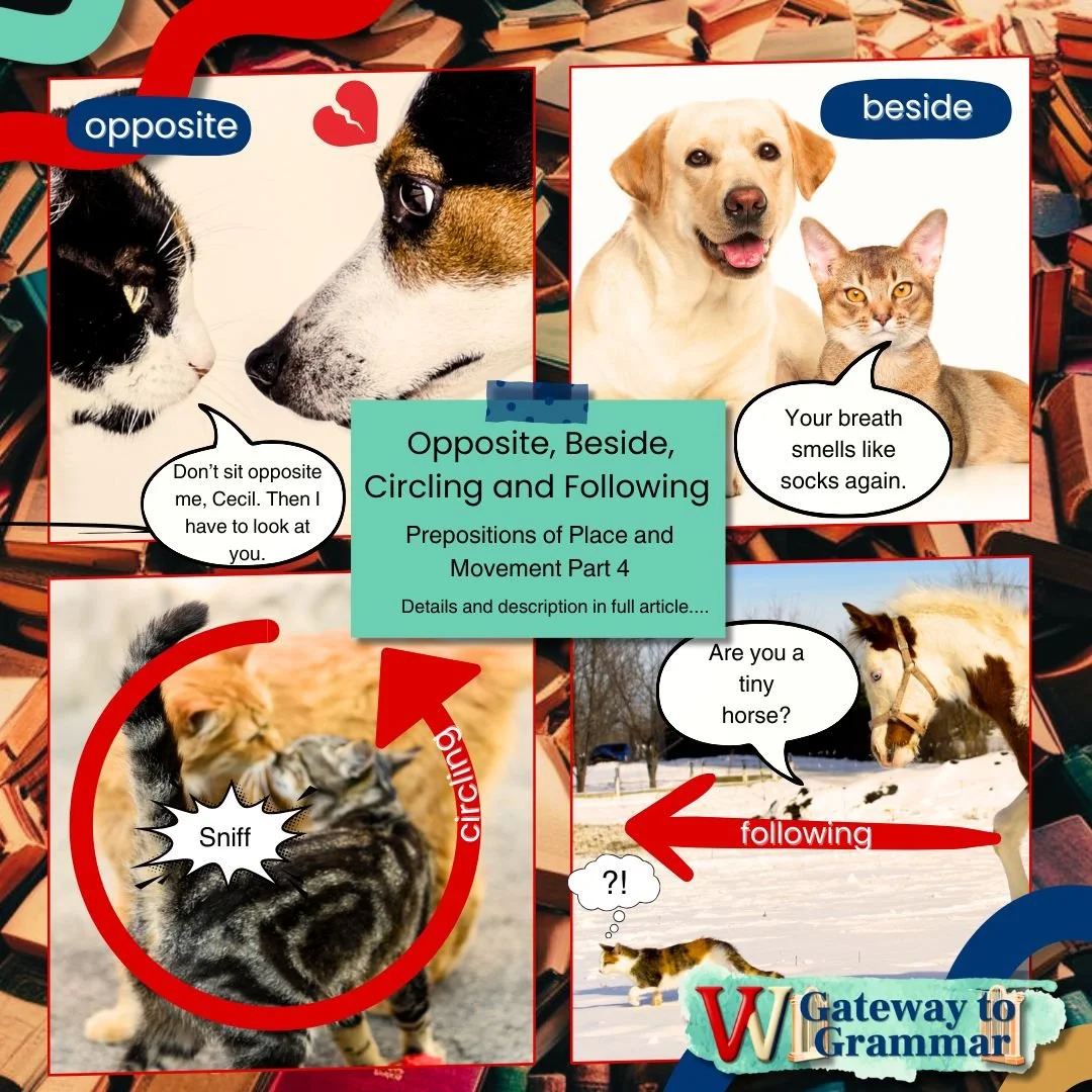 Prepositions of Place and Movement 4 - Opposite, Beside, Circling, and ...