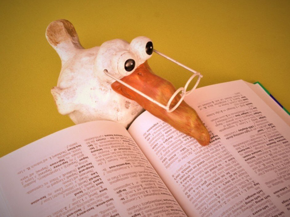 GCSE English Learning Resources Hub — Wright English