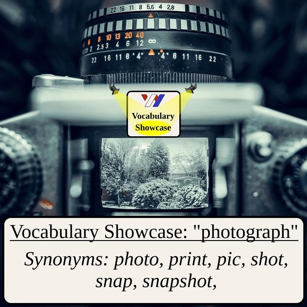 Synonyms for "Photograph" |Vocabulary Showcase| — Wright English