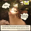 Synonyms for ‘Shiny’ |Vocabulary Showcase| — Wright English