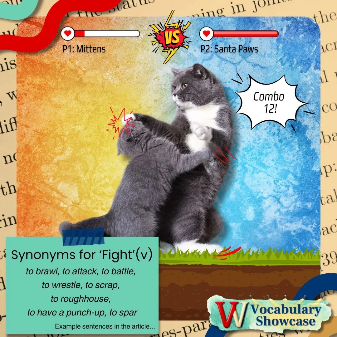 Synonyms for 'Fight' (v) |Vocabulary Showcase| — Wright English