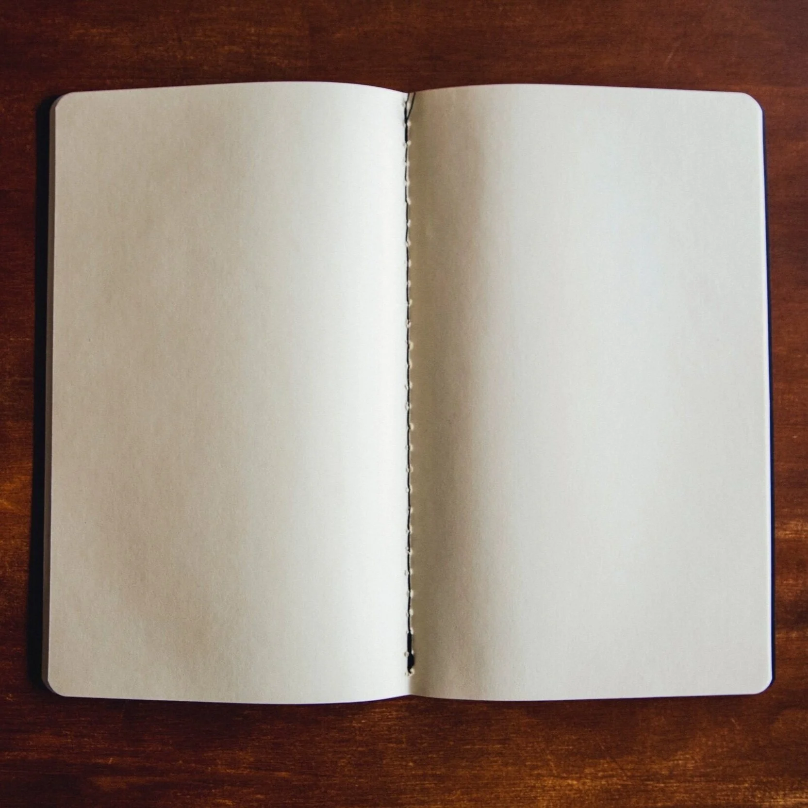 AC NotebookB — Quarantini Boredom Escapes