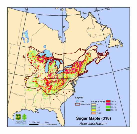 Vermont Maple Syrup. Traditions, Tidbits, Lore and More | Wild Woods ...