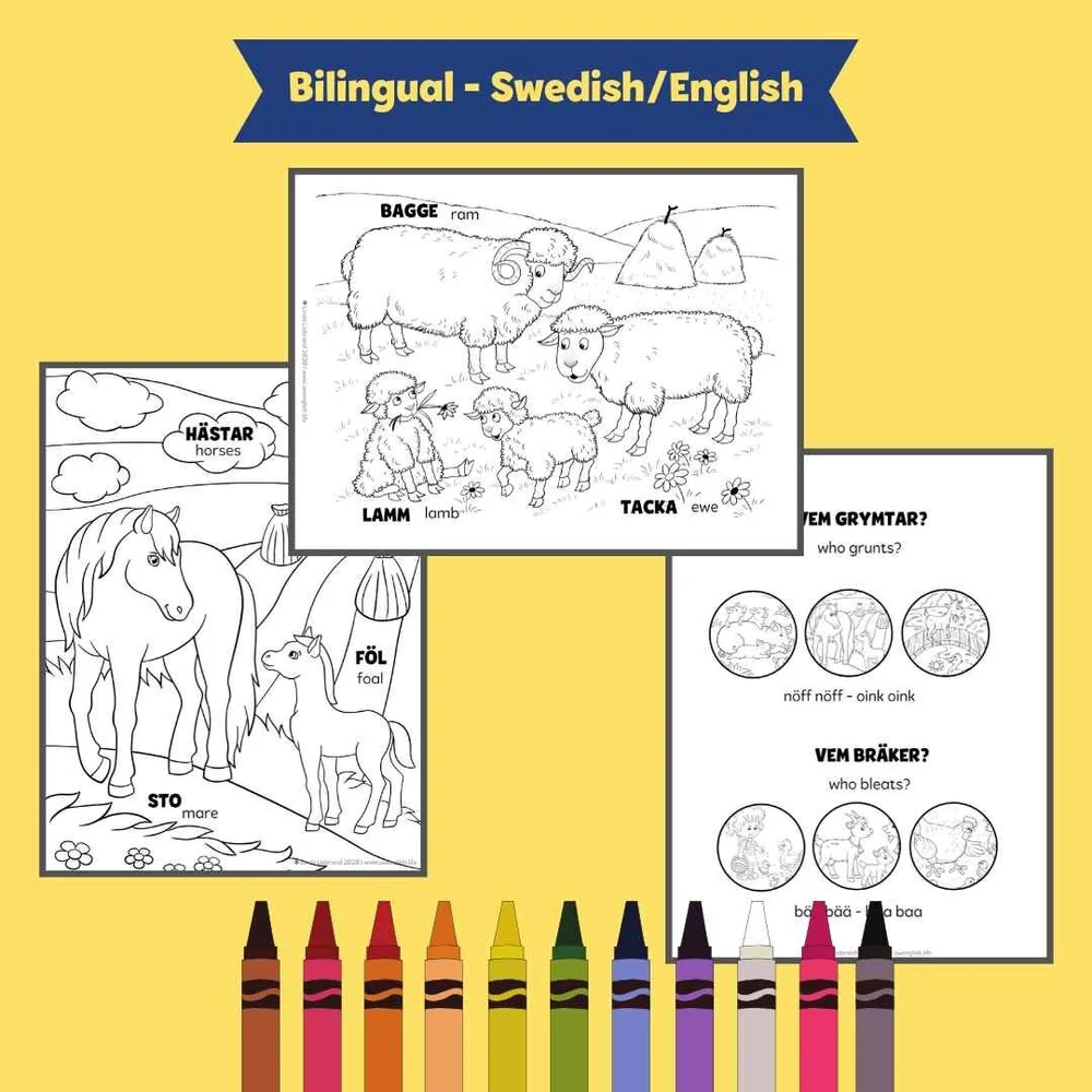 Swedish Coloring Book: My First Swedish Words PDF and Paperback ...