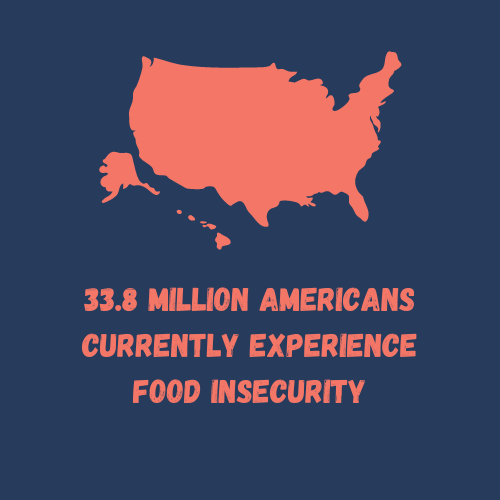 Food Insecurity — Families4Families
