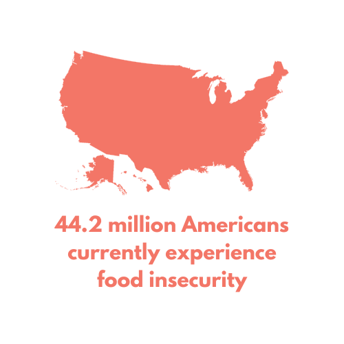 Food Insecurity — Families4Families