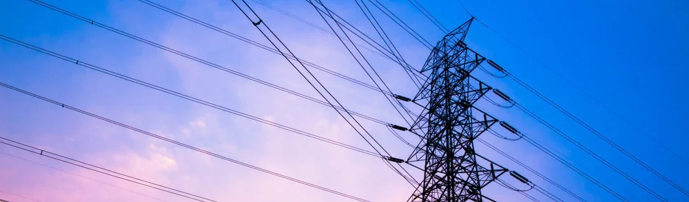 What is the Difference between LIPA and PSEG? — Lawng Island