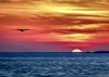 Things To Do on Long Island, NY (June 27 - June 29, 2025) — Lawng Island