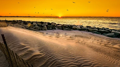 Things To Do on Long Island, NY (June 6 - June 11, 2025) — Lawng Island