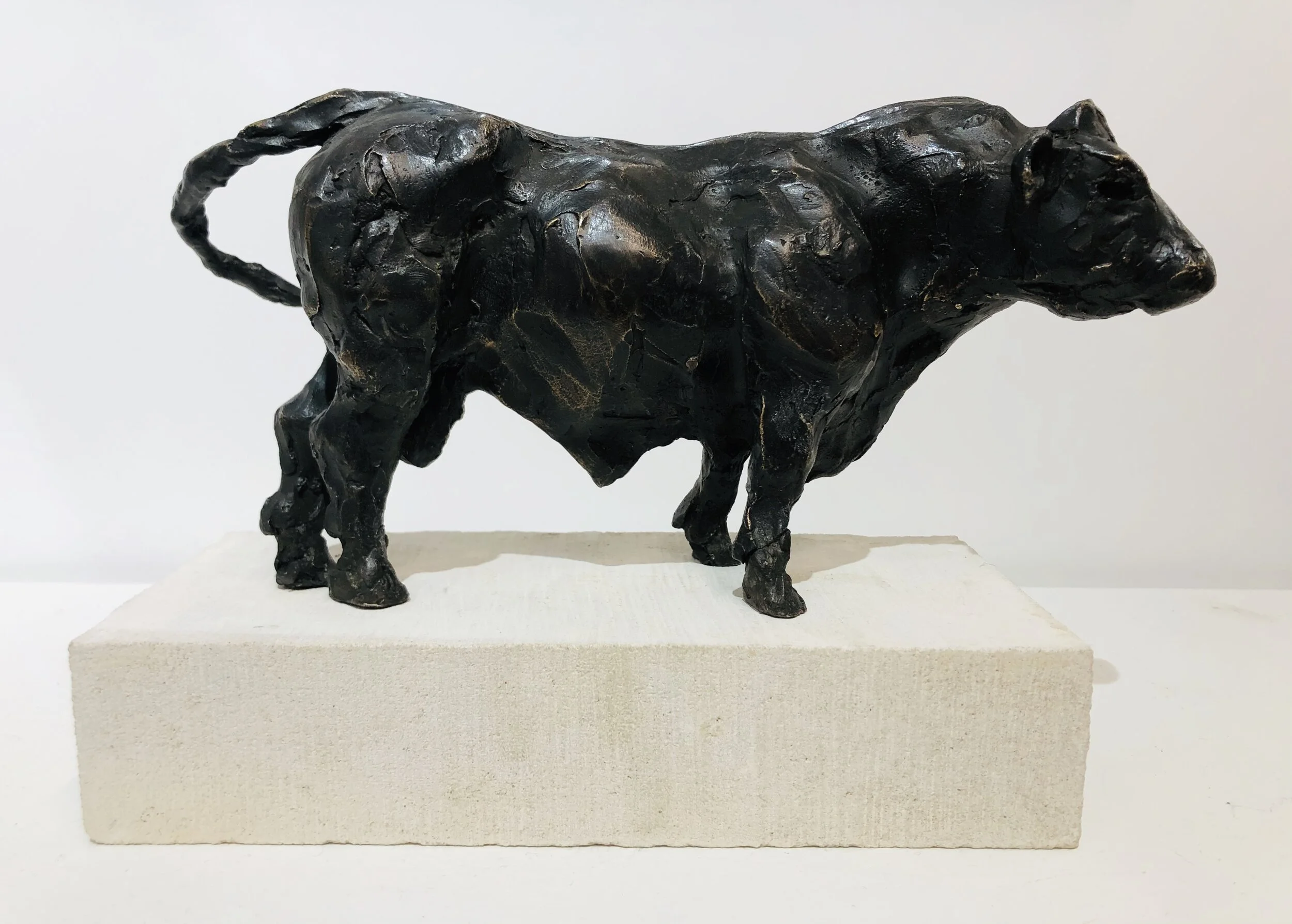 Bull — TISH POTTER