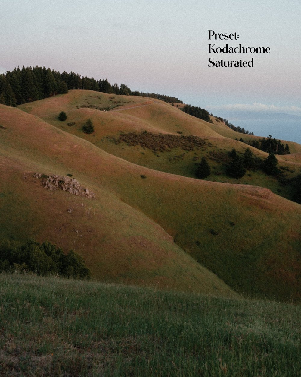 Lightroom Film Presets - Kodak Portra 400, Gold 200, & More — Alex Samuels Studio