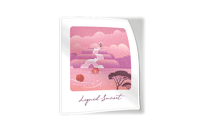 Zenzi | Branding & Packaging Design — The Turtle Story | Branding and ...