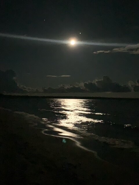 Gallery — Mantago Bay RV Park & Campground