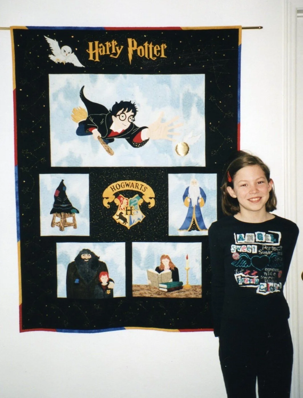 The Harry Potter Quilt — Quiltish Corner