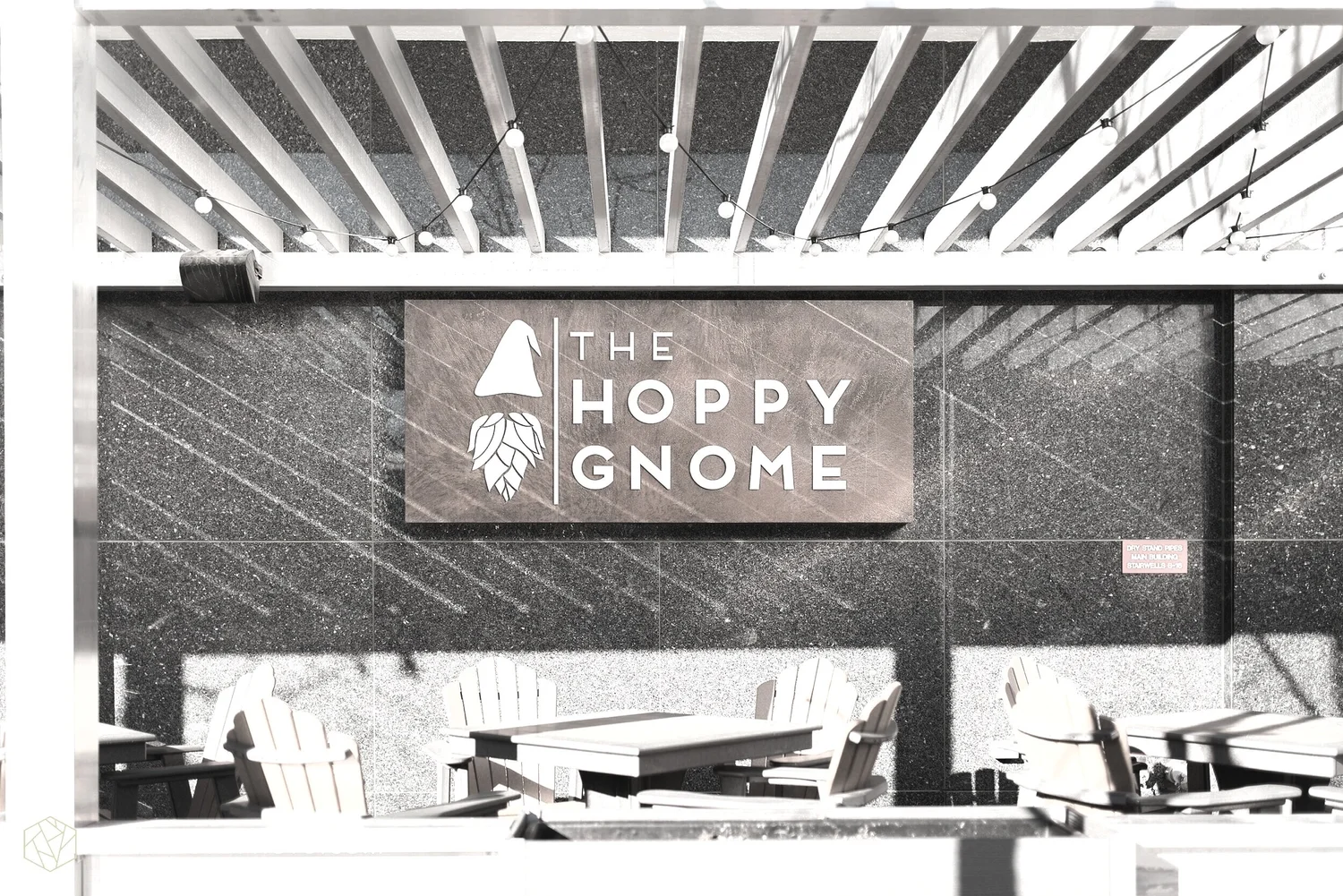 News — The Hoppy Gnome