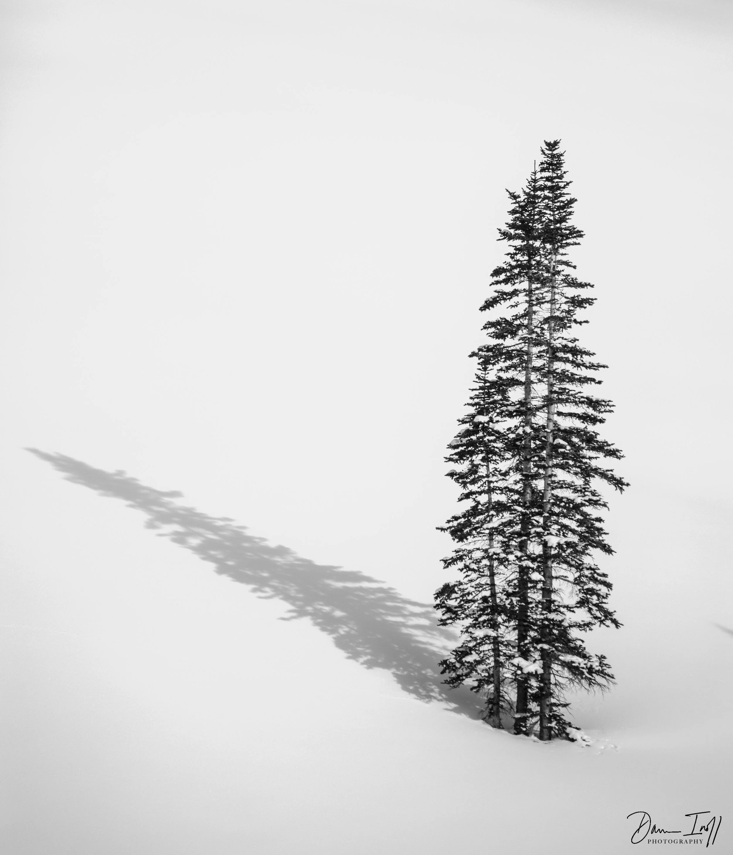 Colorado — DARREN INOFF