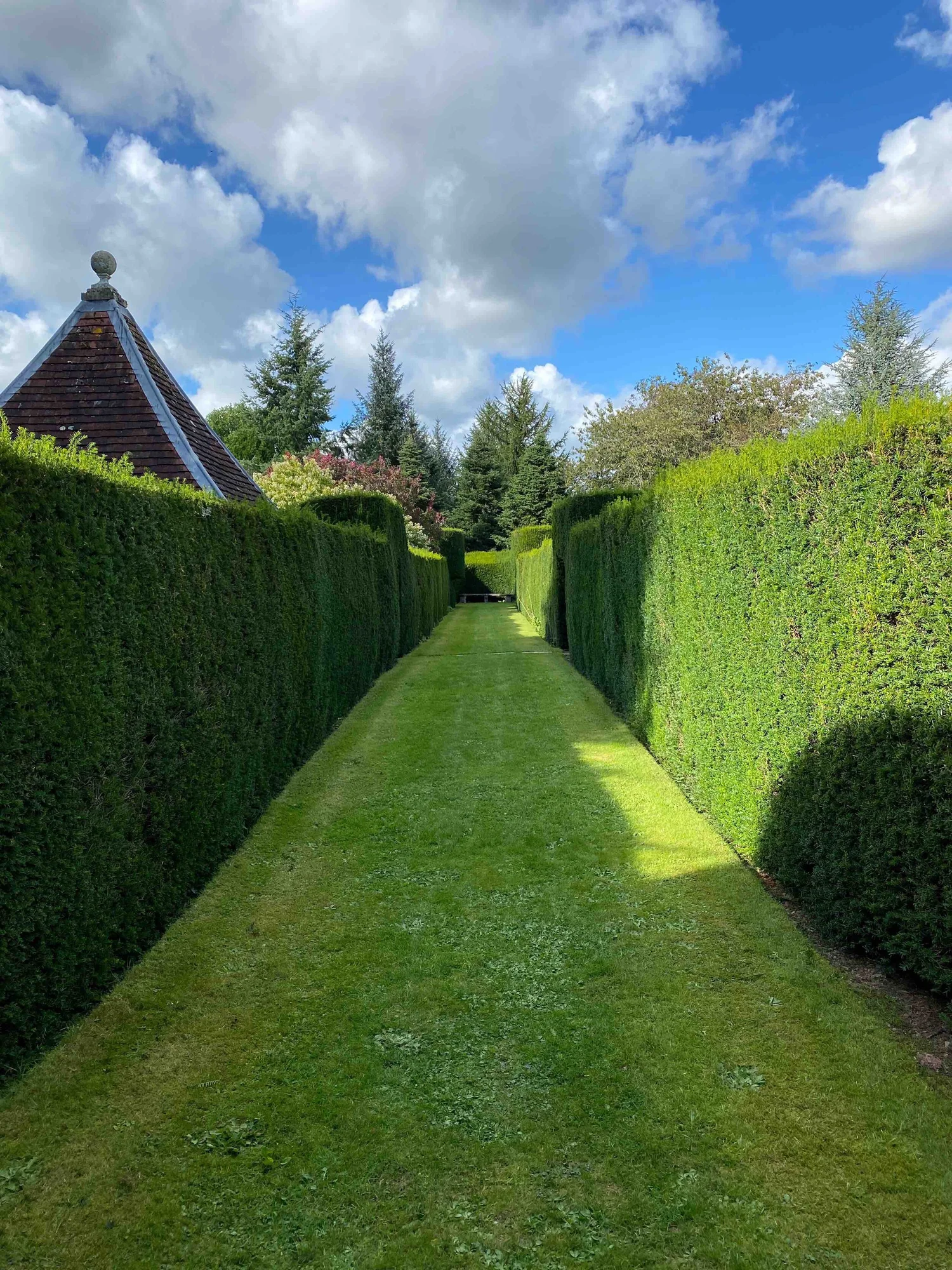 Cothay Manor — Bud to Seed