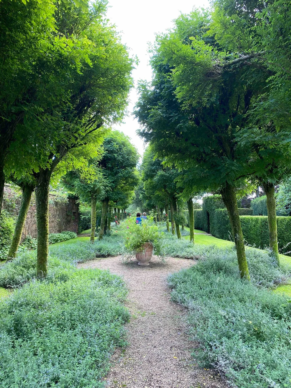 Cothay Manor — Bud to Seed