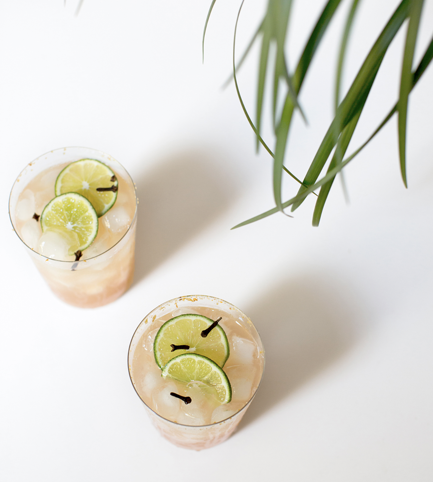 PATRON TIKI RITA Shot For APT34 — Michelle Drewes Media