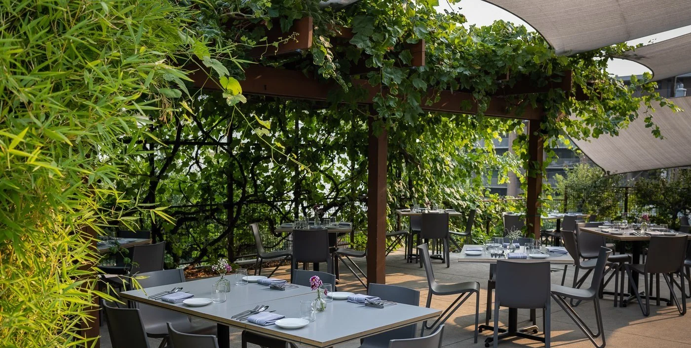 Photos — Arlo Restaurant