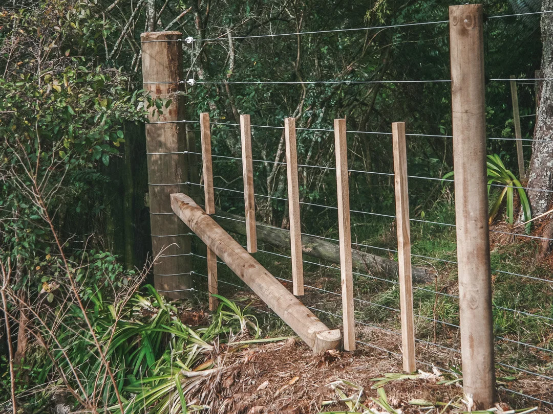 Farm Fencing Services — White Fencing