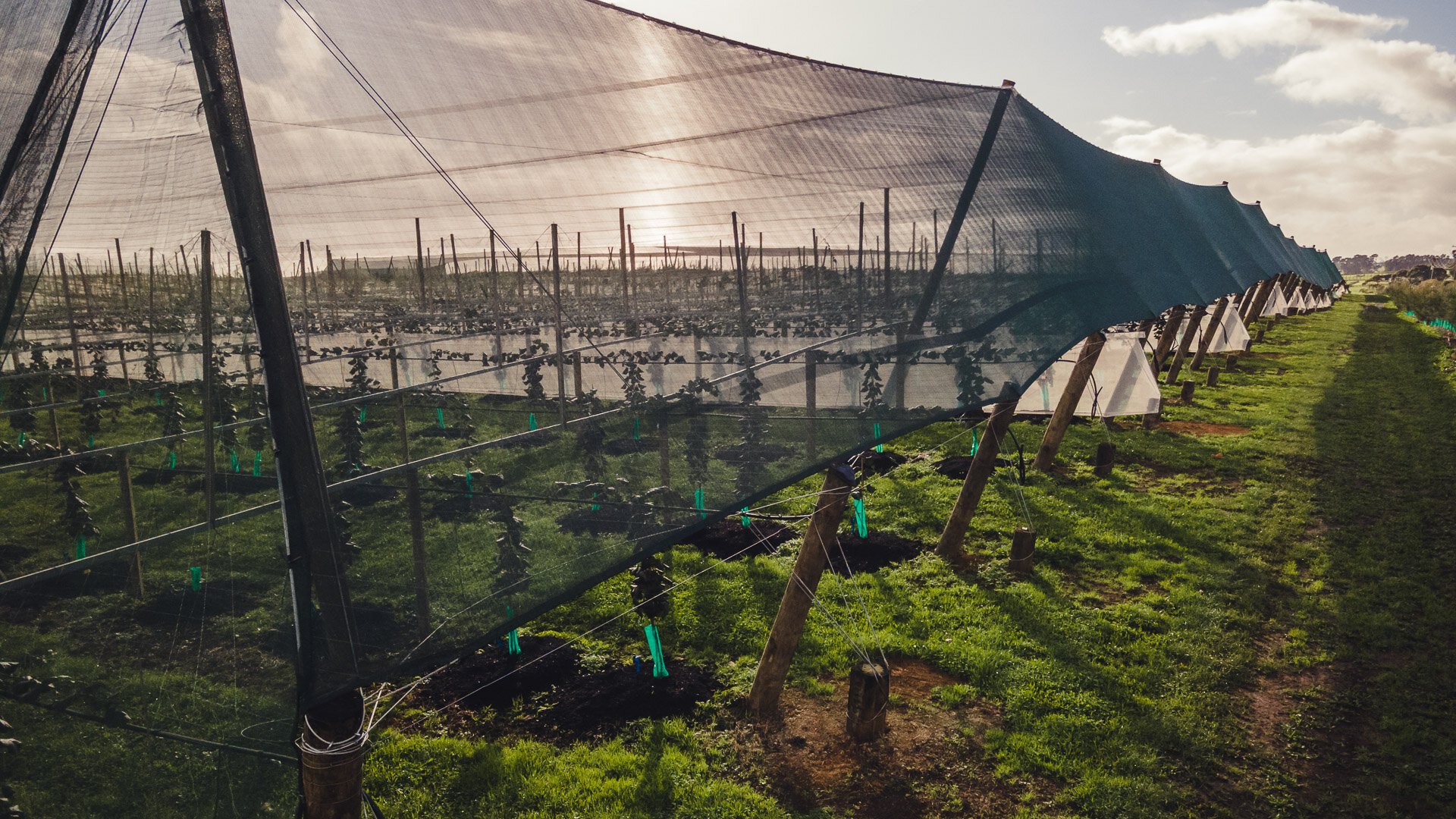 Horticultural Contracting — White Fencing