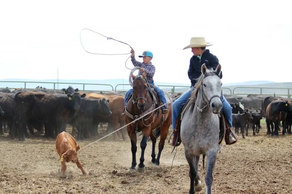 About — Blue Mountain Ranch