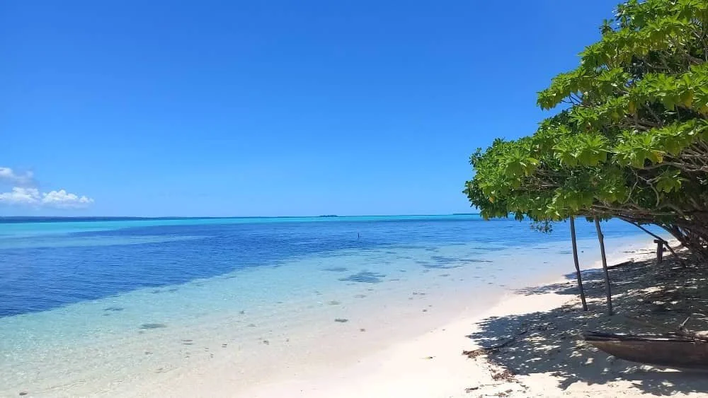 Summer Lagoon Guesthouse — Tourism New Ireland