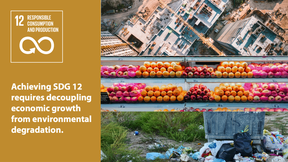 The path to responsible consumption and production — The Purpose Business