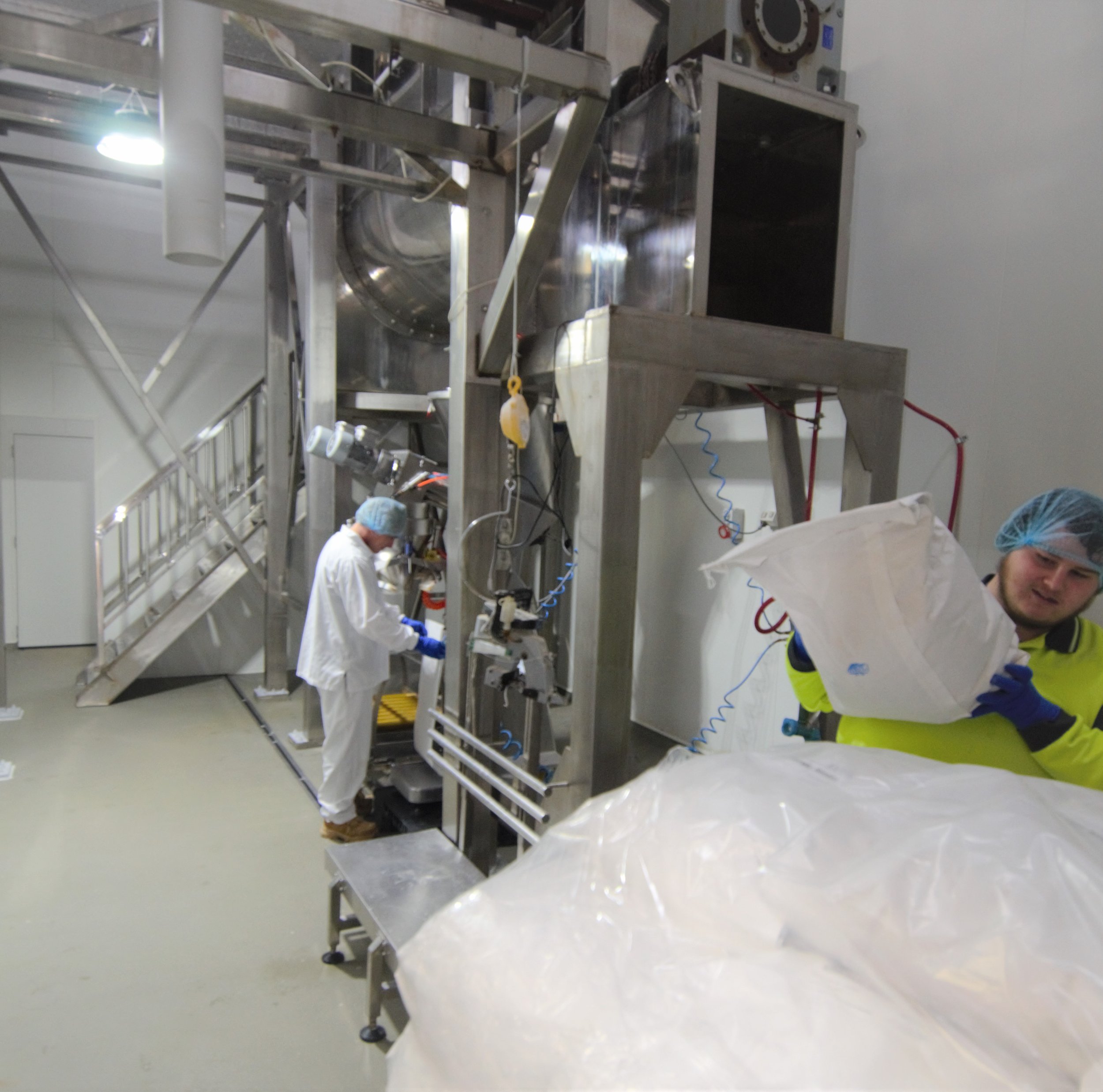 Services — Logic Food Solutions