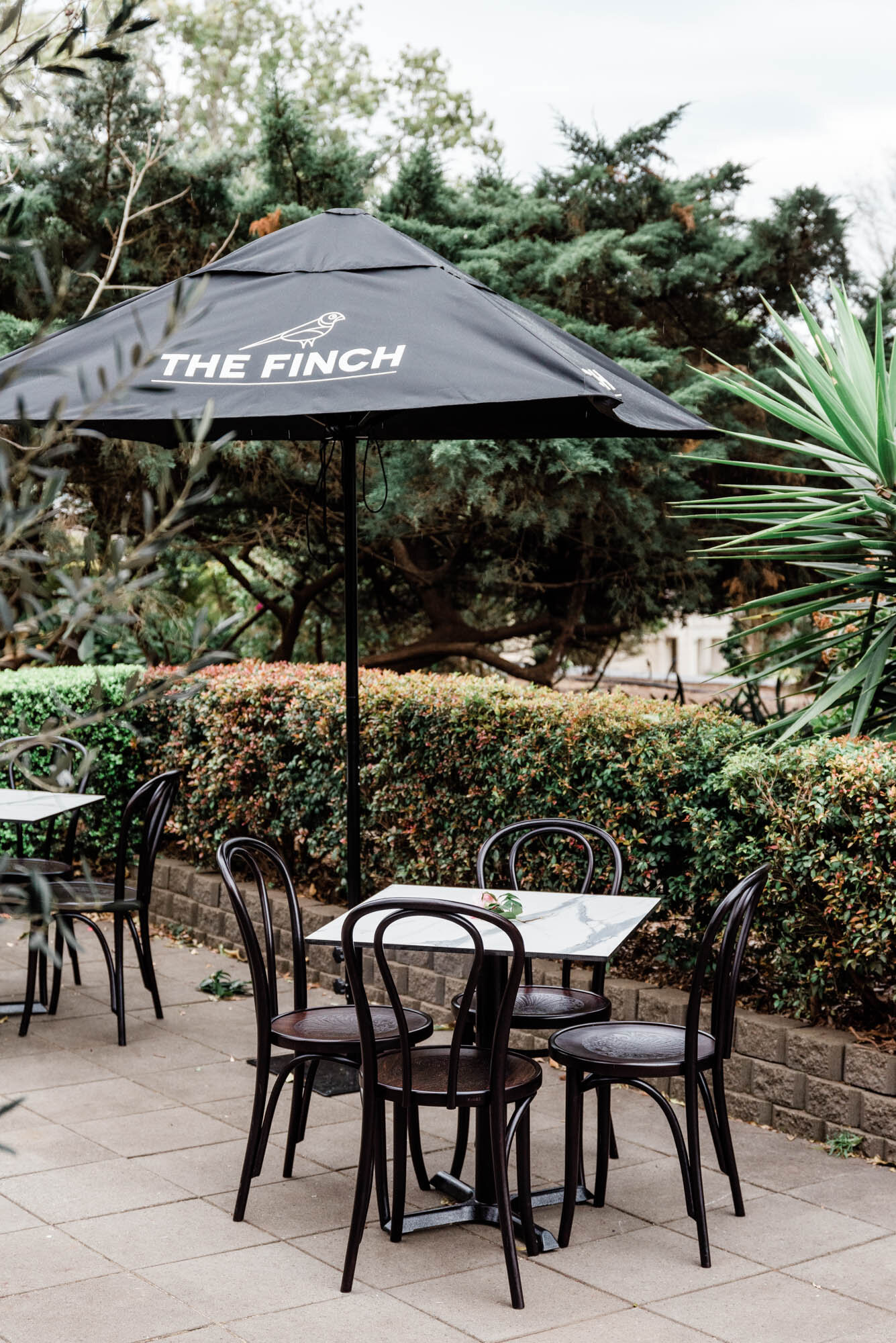 The Finch on The Range — ASI