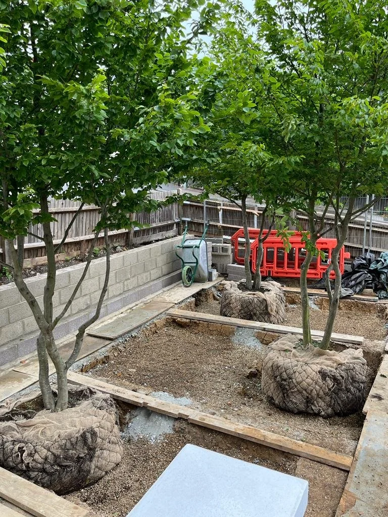 Garden Design | Charlotte Rowe