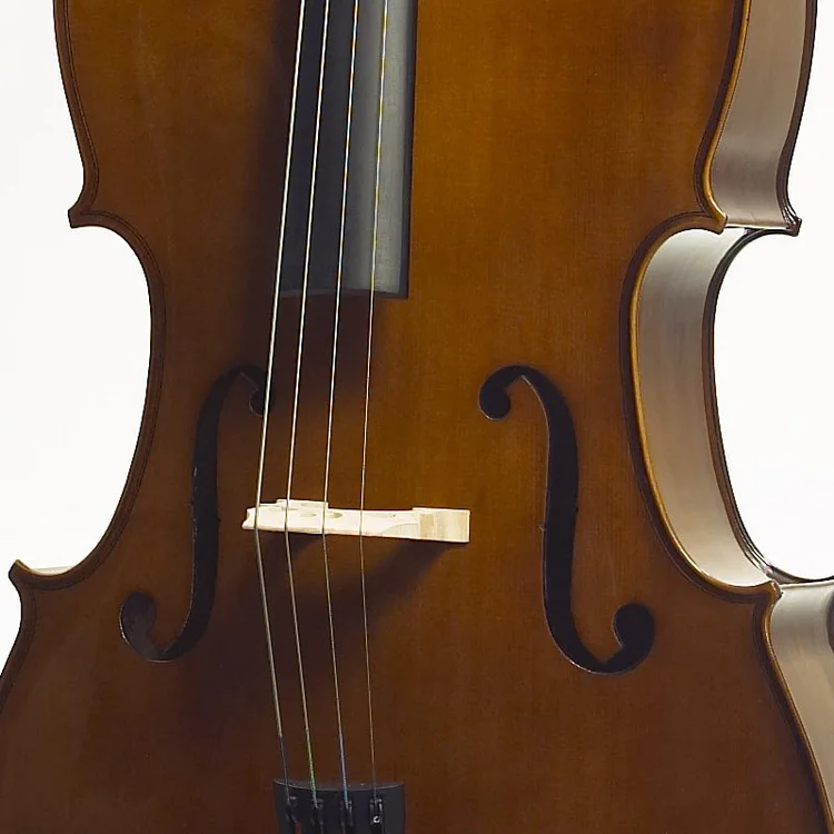 Cellos for Sale | Handcrafted Instruments for Every Level | Bridge ...
