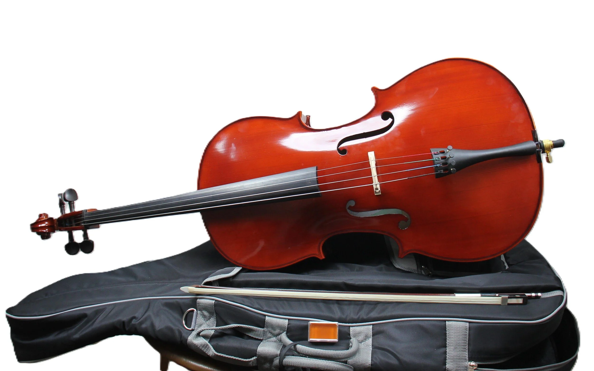 Rent a Cello | Beginner, Student, Advanced, Orchestra | Bridge Street ...
