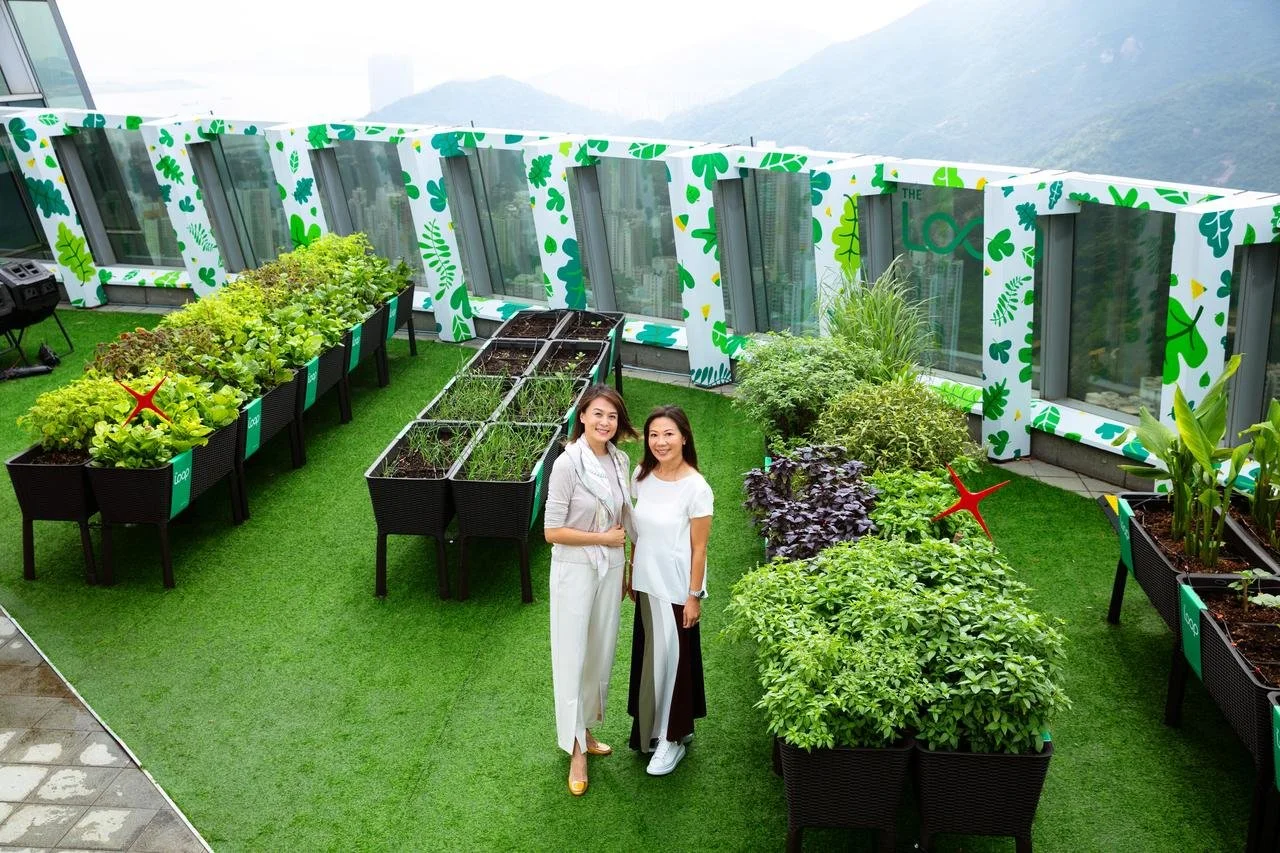DBS Hong Kong and Taikoo Place use food waste to feed the highest urban ...