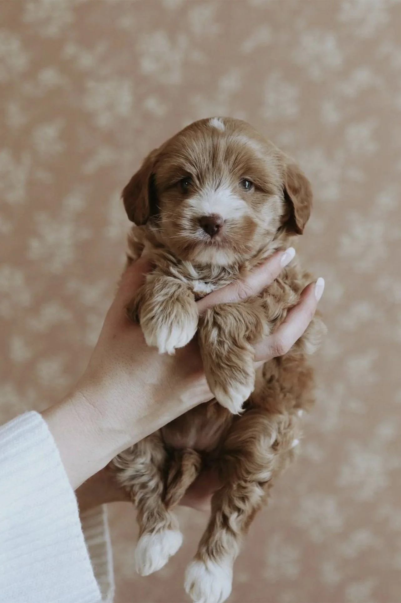 Portfolio — Sophie Jackson Studios