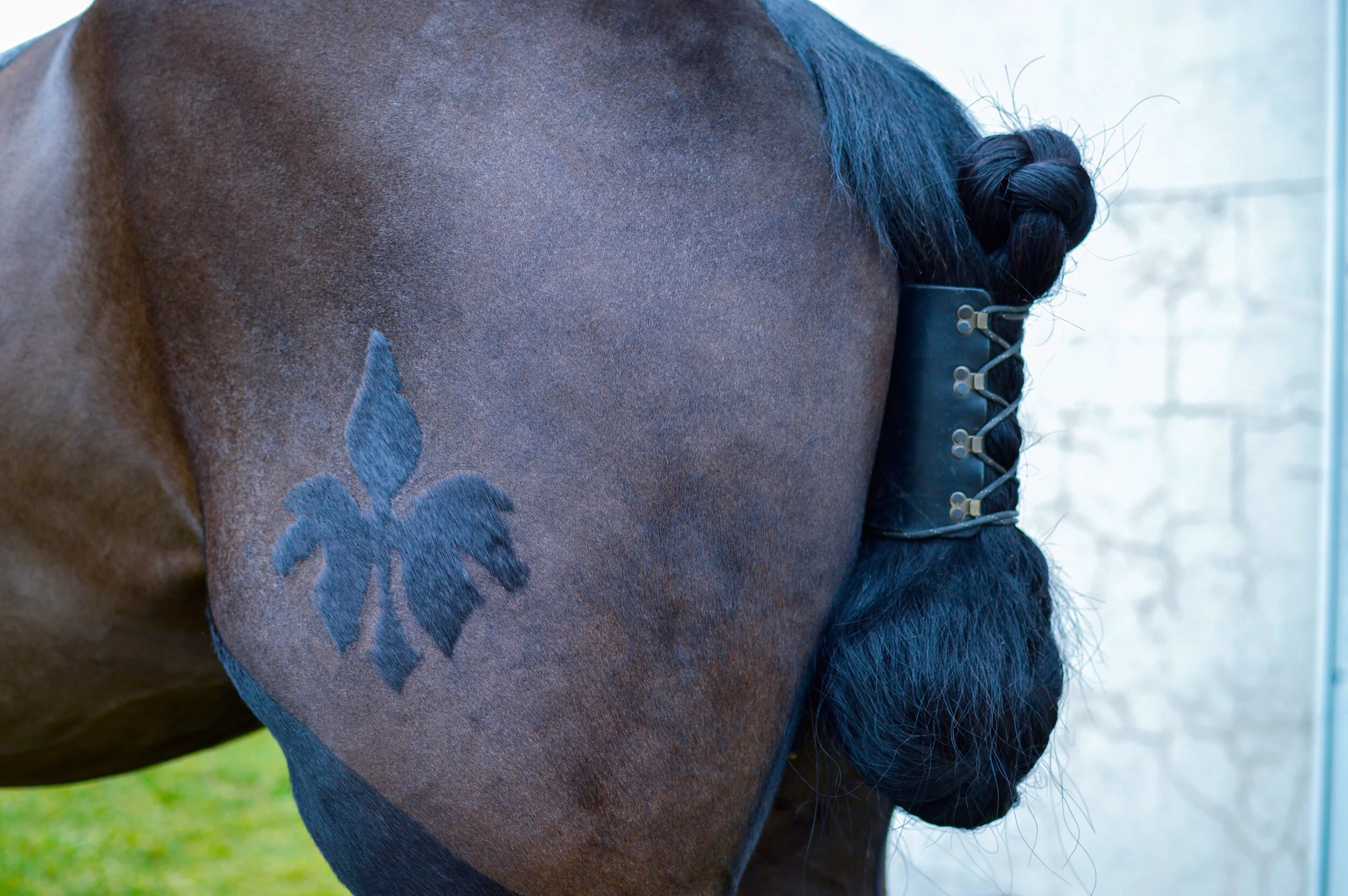 Store 2 — Equus Couture