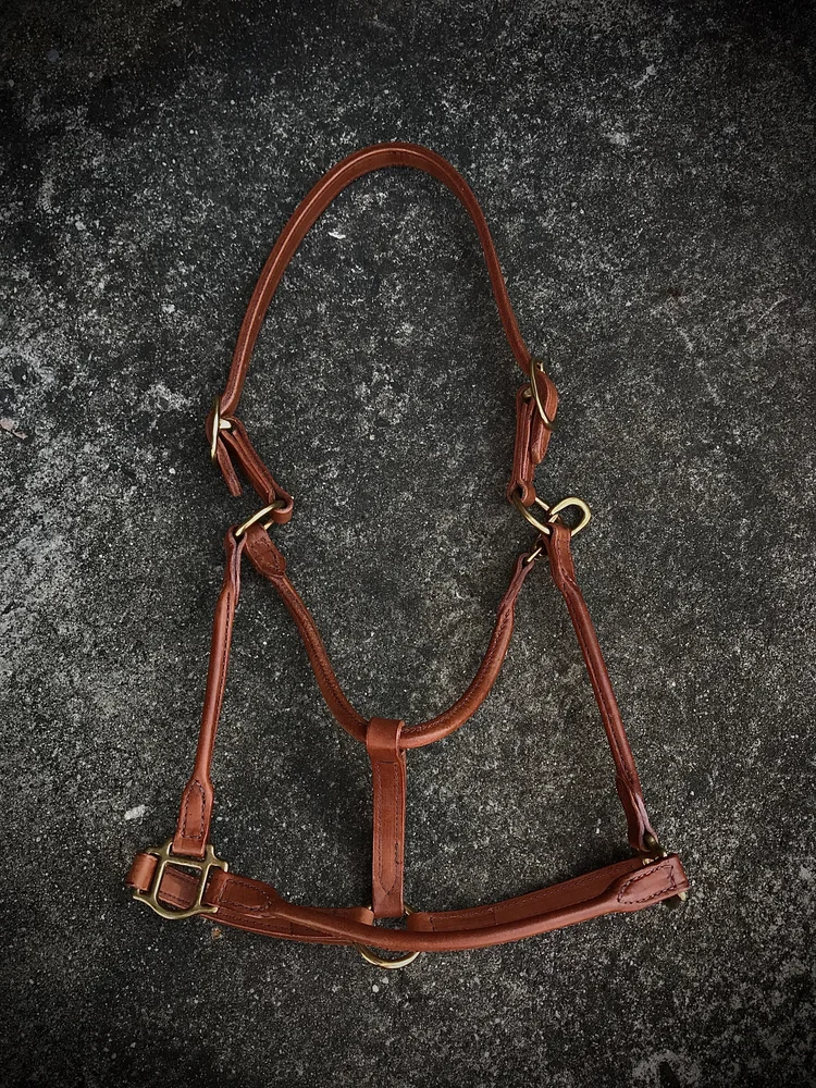Store 2 — Equus Couture