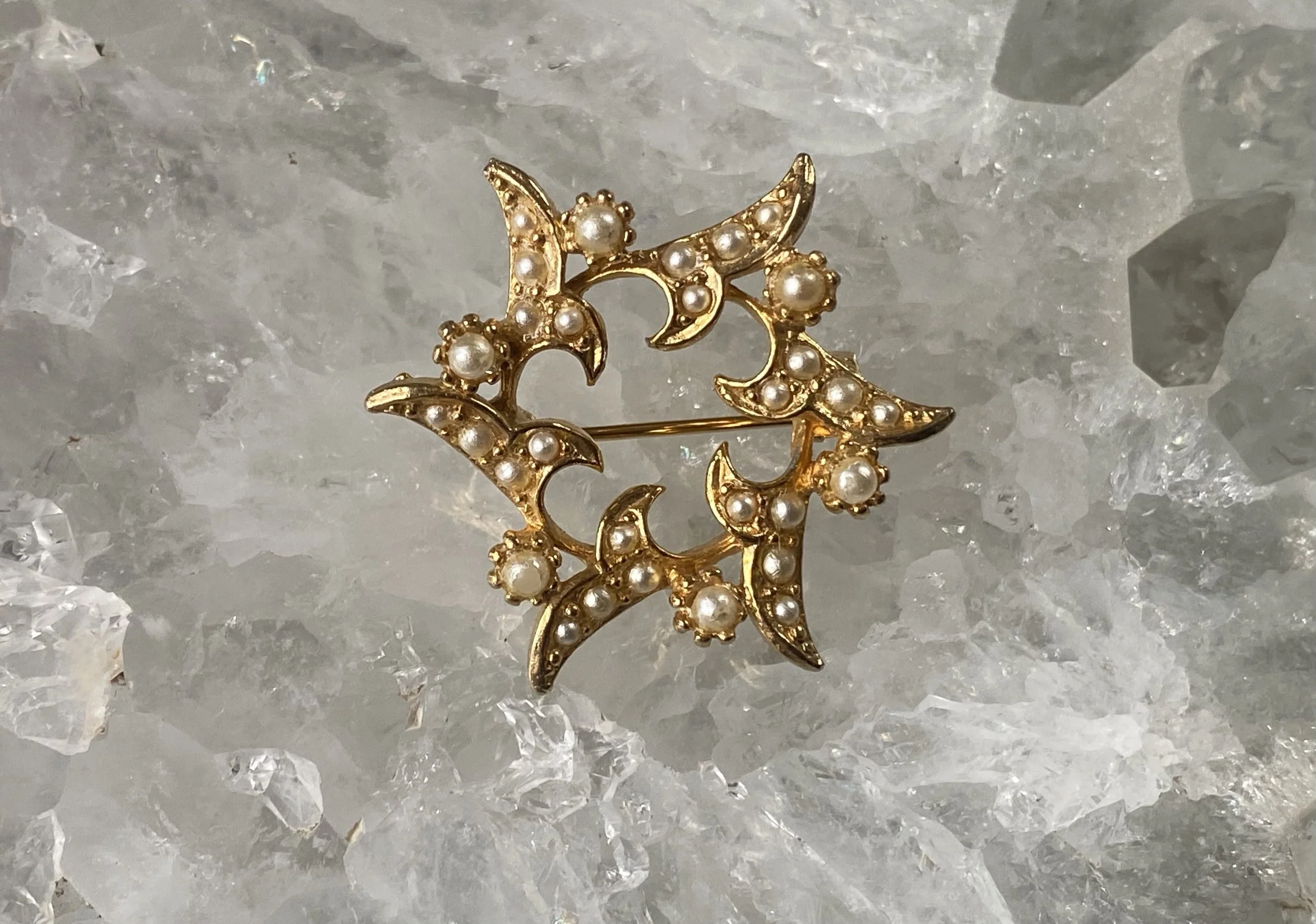 Store 2 — Equus Couture