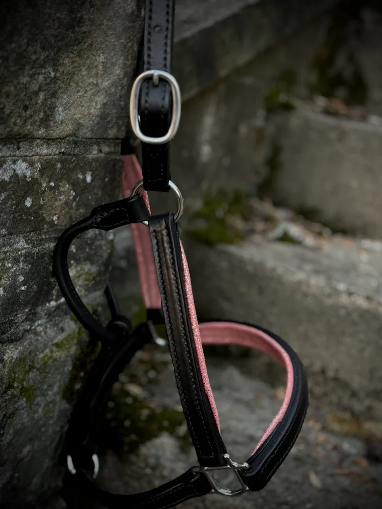 Store 2 — Equus Couture
